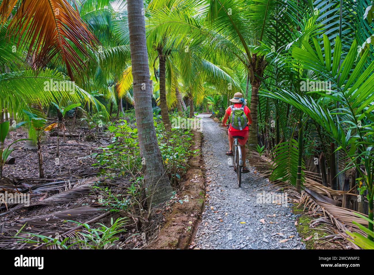 Vietnam, Mekong Delta, Ben Tre province, cycling tour on Con Oc Island ...