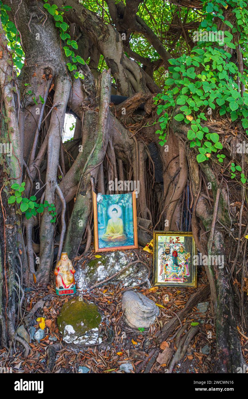 Vietnam, Ho Chi Minh City (Saigon), District 1, Ben Nghe area, Buddhist ...
