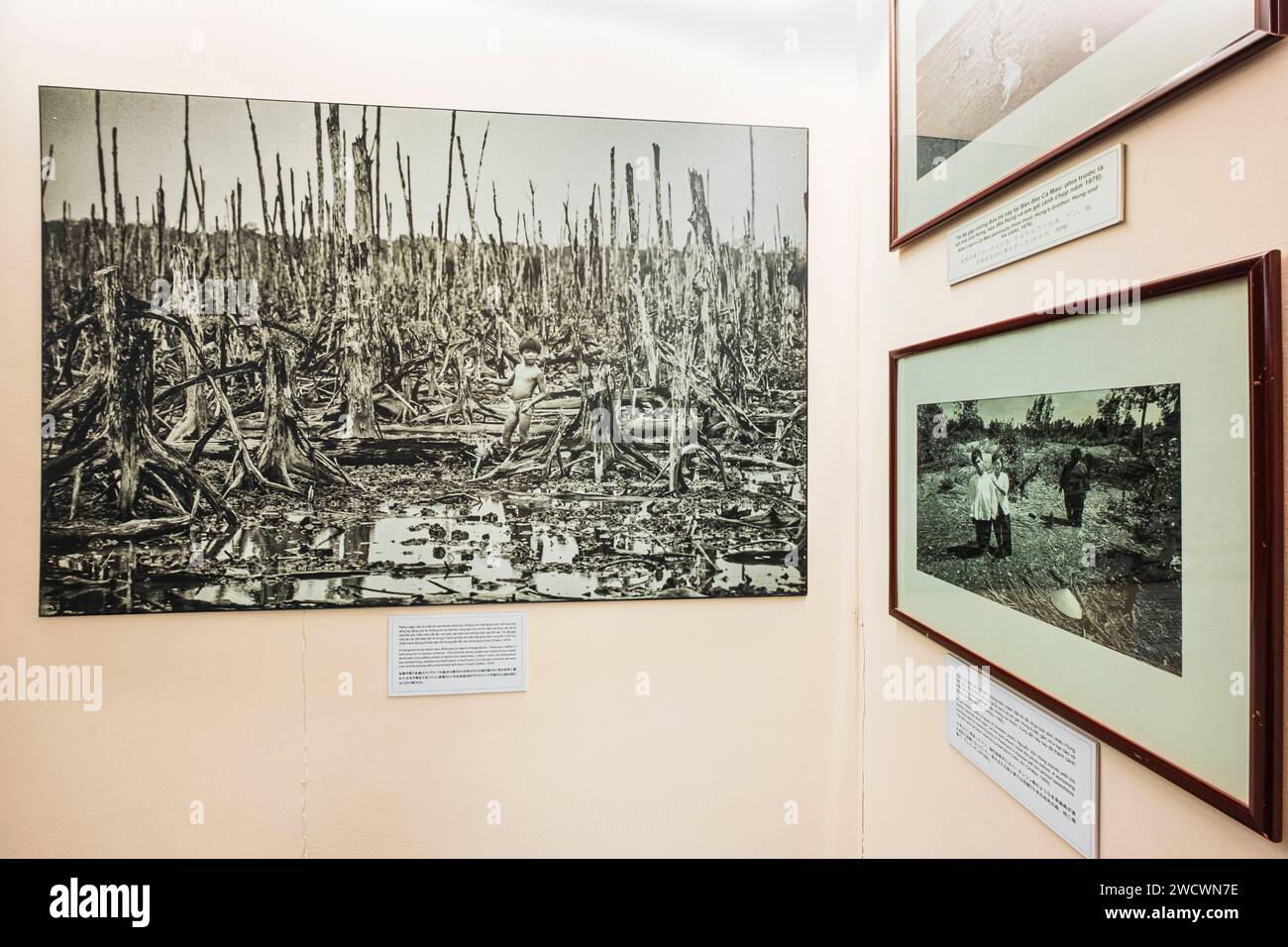 Agent orange hi-res stock photography and images - Alamy