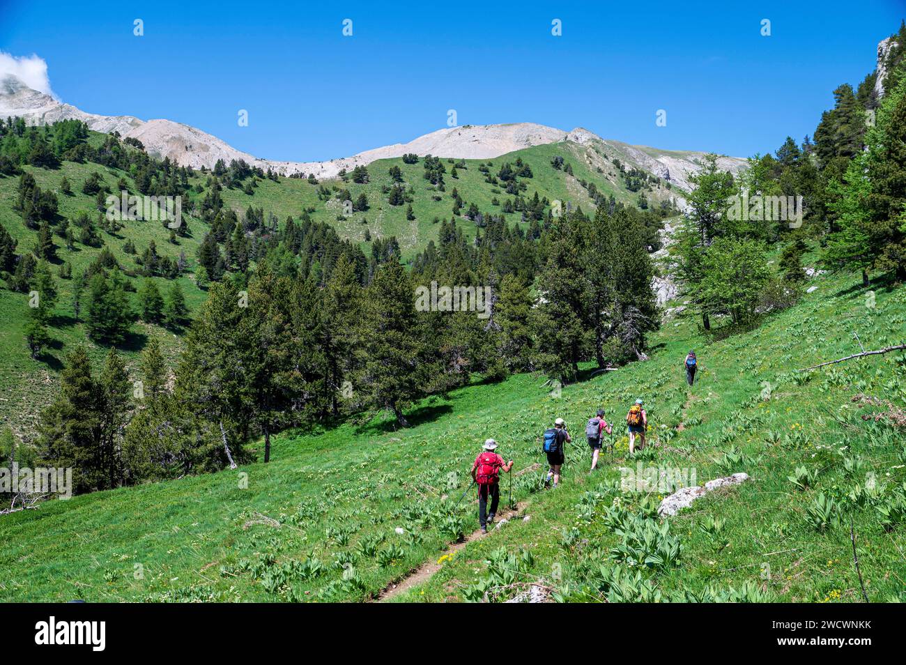 Contier hi-res stock photography and images - Alamy