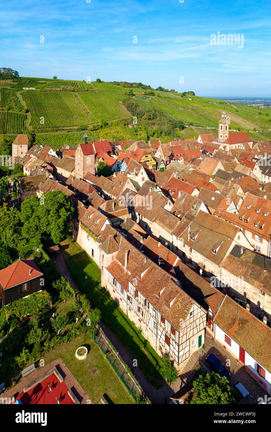 France, Haut Rhin, Alsace Wine Road, Riquewihr village, labelled Les ...