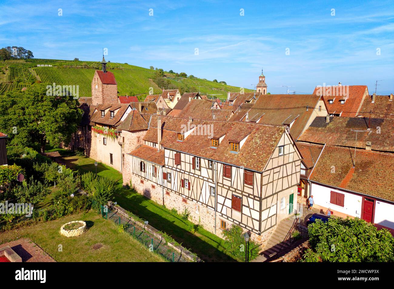 France, Haut Rhin, Alsace Wine Road, Riquewihr village, labelled Les ...