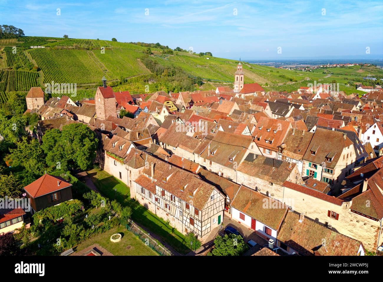France, Haut Rhin, Alsace Wine Road, Riquewihr village, labelled Les ...