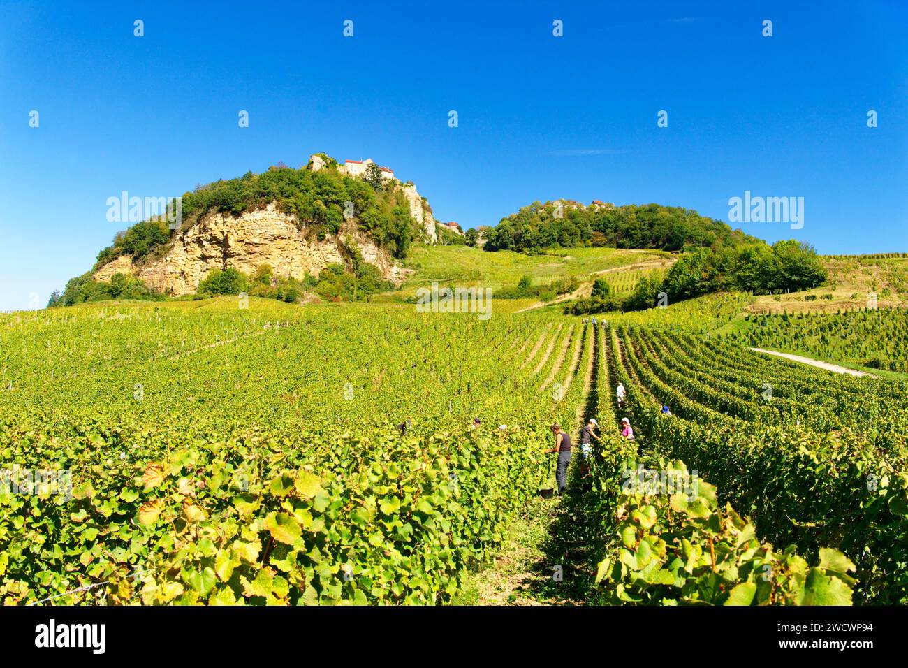 France, Jura, Chateau Chalon, labelled Les Plus Beaux Villages de ...