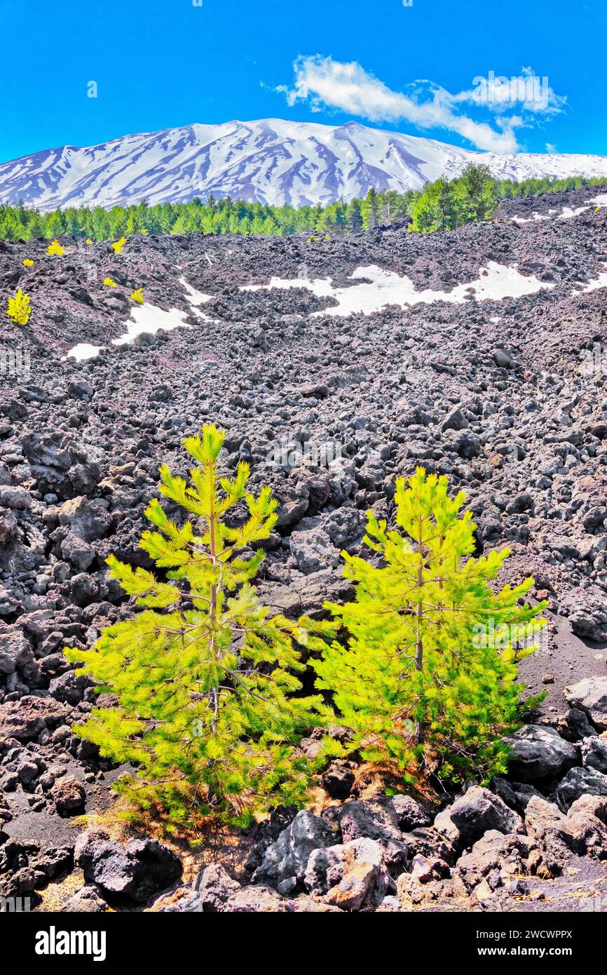 Italy, Sicily, Etna, View of lava fields and snow-capped peaks in the ...
