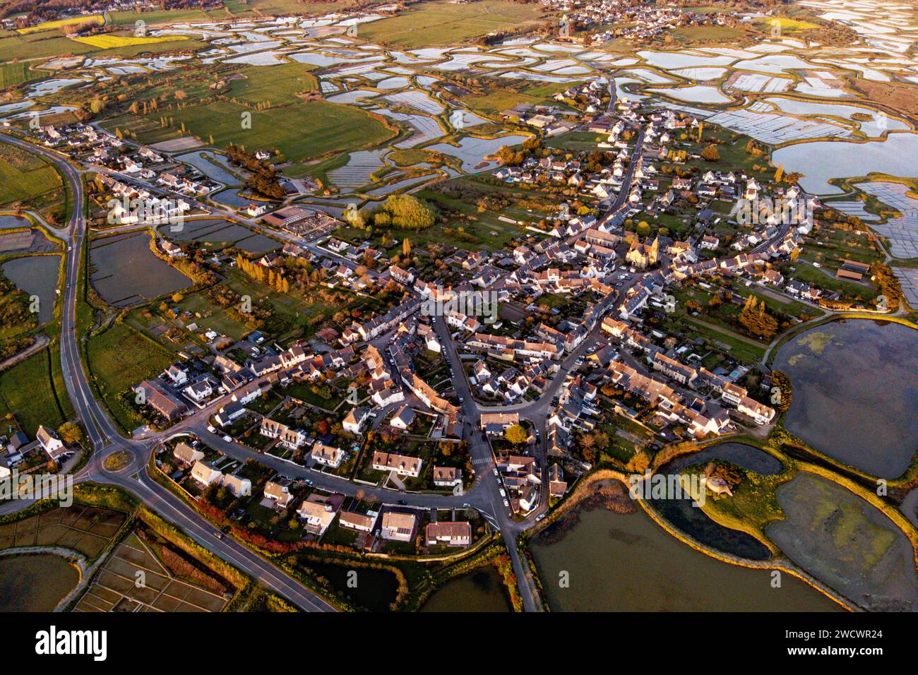 France, Loire Atlantique, Parc Naturel Regional de la Briere (Briere ...