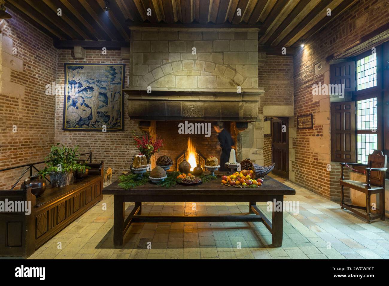 France, Indre-et-Loire (37), Amboise, Center Loire Valley region, Loire ...