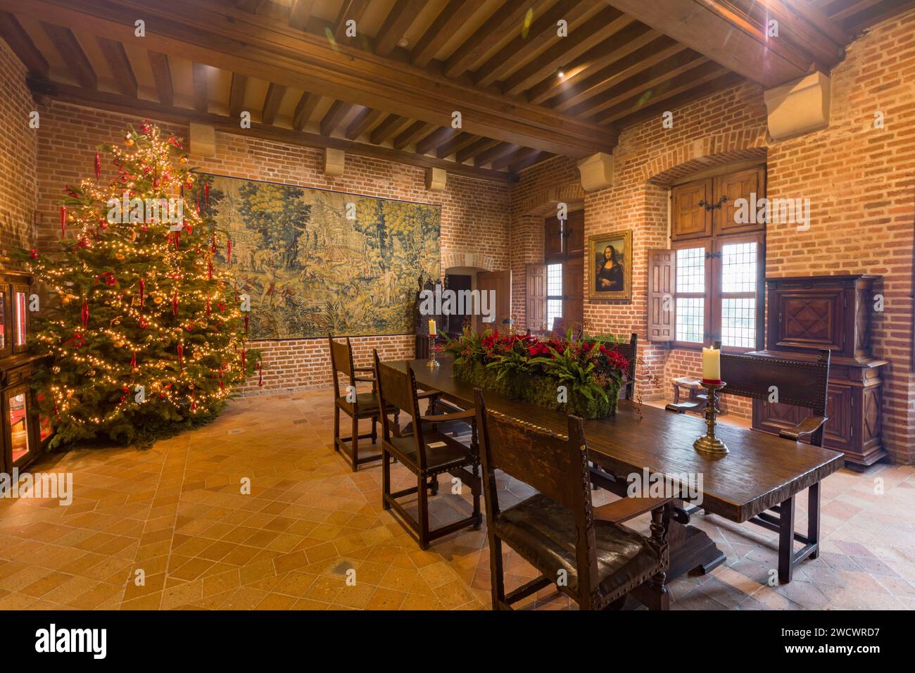 France, Indre-et-Loire (37), Amboise, Center Loire Valley region, Loire ...