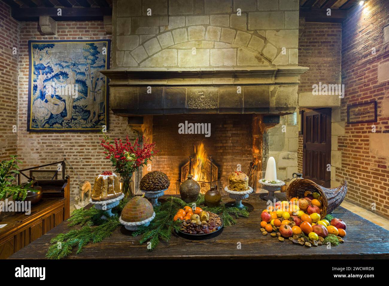 France, Indre-et-Loire (37), Amboise, Center Loire Valley region, Loire ...