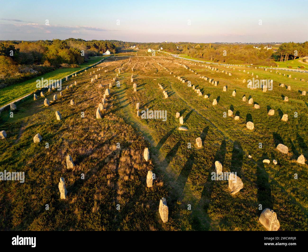 France, Morbihan, Carnac, megalithic site of Menec (aerial view Stock ...