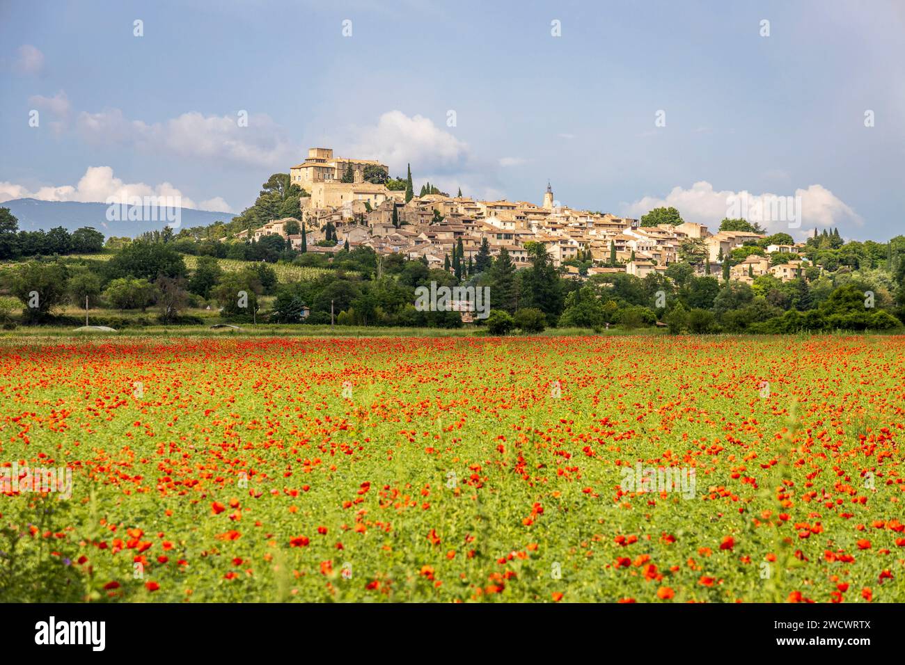 France, Vaucluse, Luberon Regional Natural Park, Ansouis, labeled Les ...