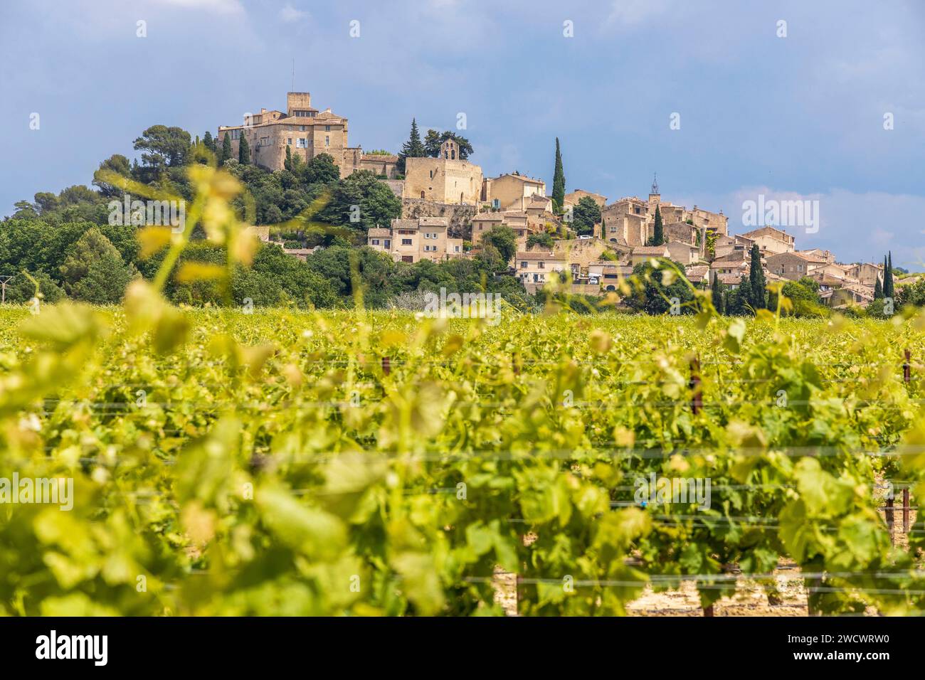 France, Vaucluse, Luberon Regional Natural Park, Ansouis, labeled The ...