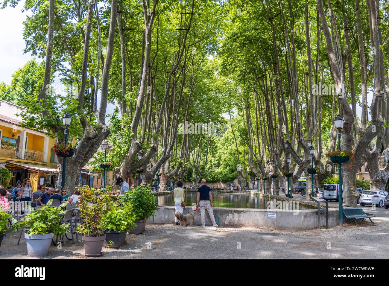 France, Vaucluse, Regional Natural Park of the Luberon, Cucuron, the ...