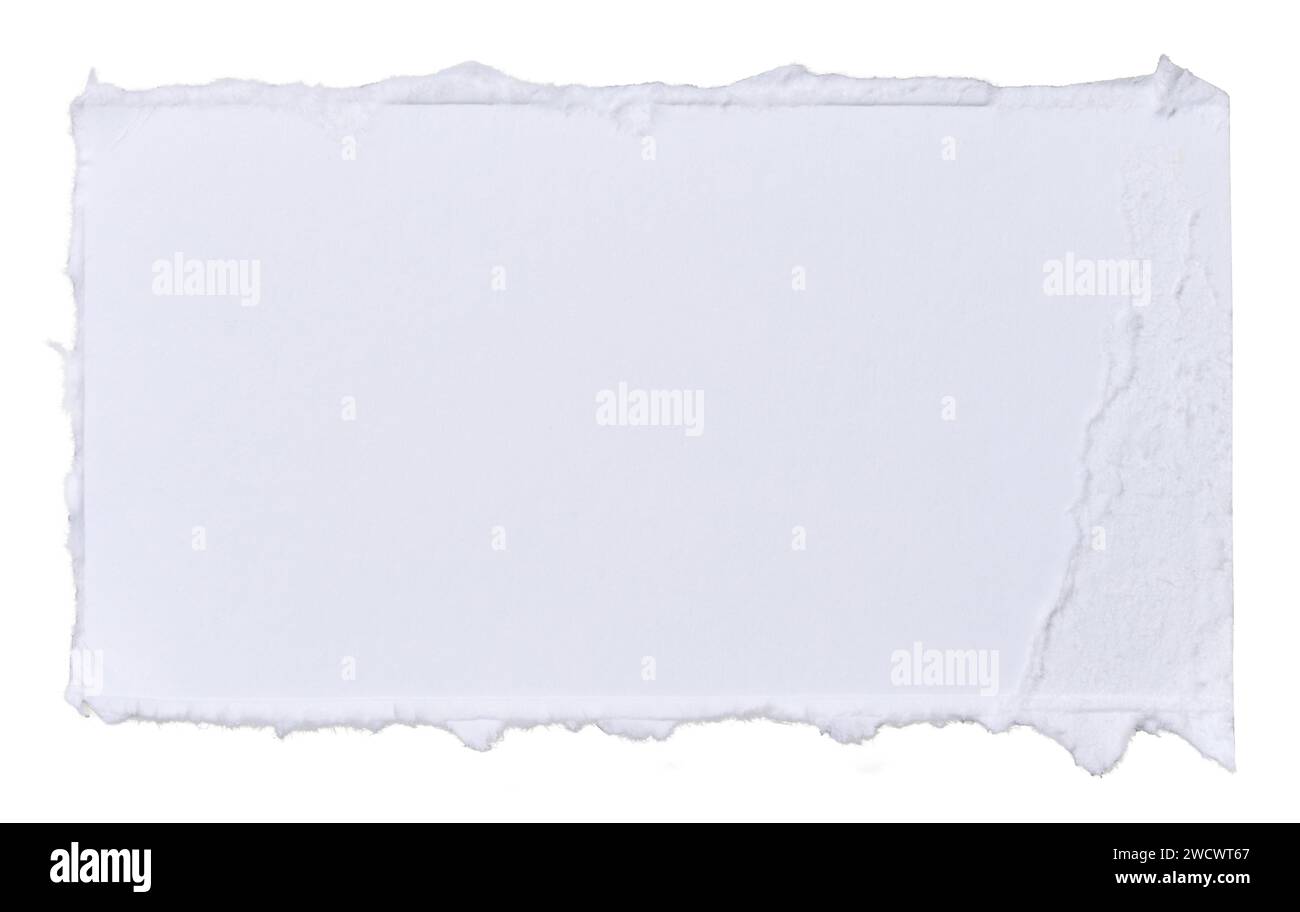 Rectangular piece of white cardboard with torn edges on an isolated ...
