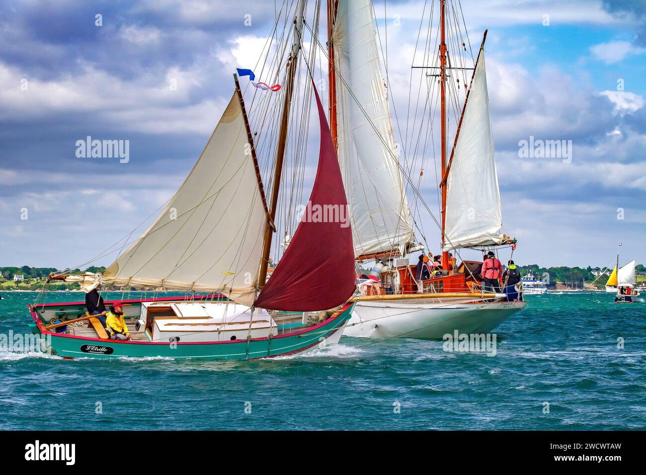 France, Morbihan, Gulf of Morbihan, l'etrille, Horned Sloup of ...