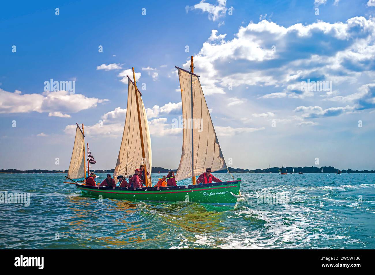 France, Morbihan, Gulf of Morbihan, Fee des Marais, Bantry skiff ...