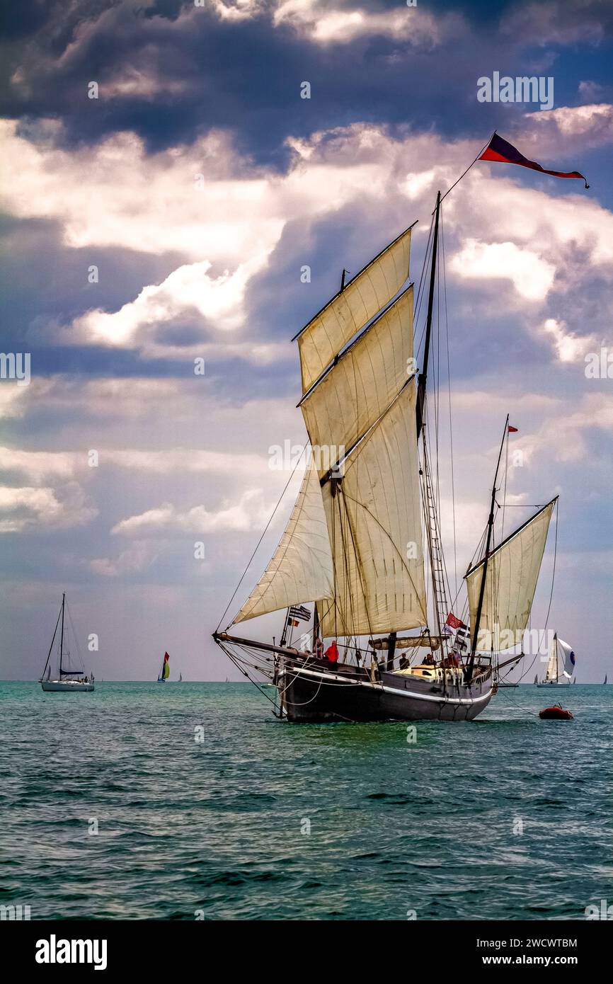 France, Morbihan, Gulf of Morbihan, Arzon, Port Navalo, Grayhound ...