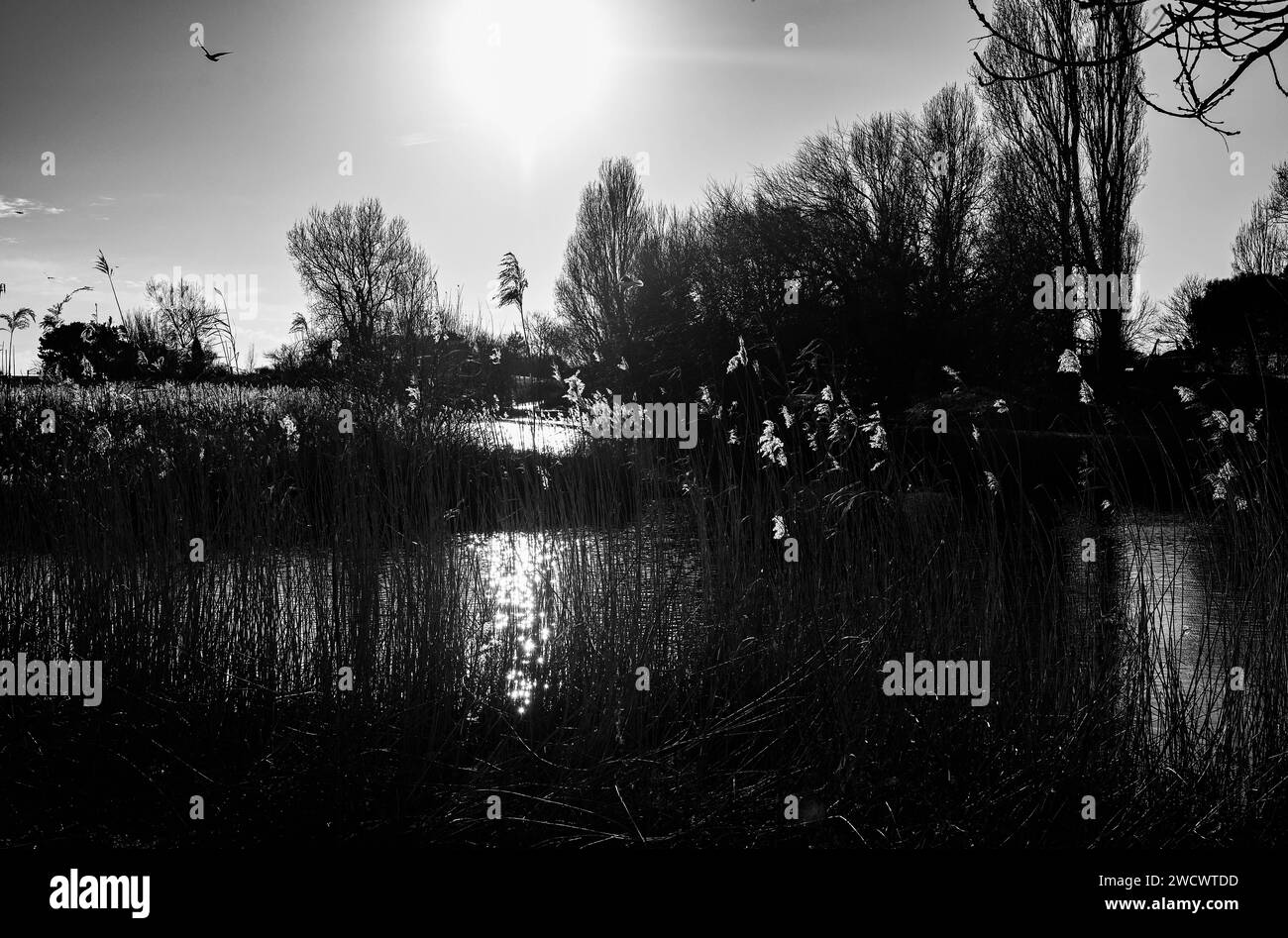 Brooklands Park and Lake just east of Worthing along the South Coast ...