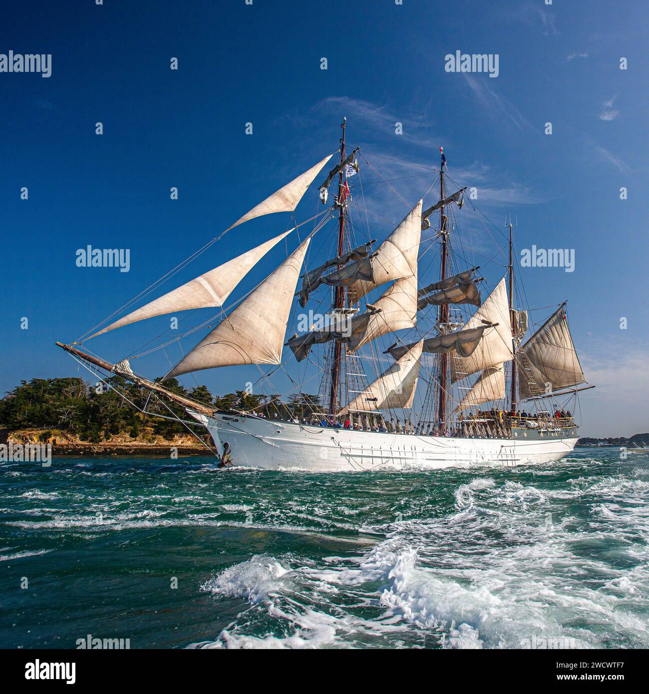 France, Morbihan, Gulf of Morbihan, Le Français, three-masted barque ...