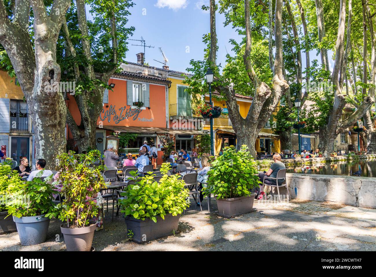 France, Vaucluse, Parc Naturel Regional du Luberon, Cucuron, the Bassin ...