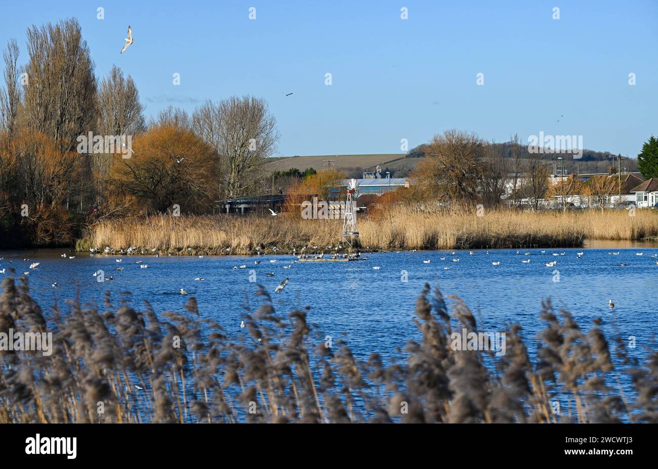 Brooklands Park and Lake with its own wind turbine for energy just east ...