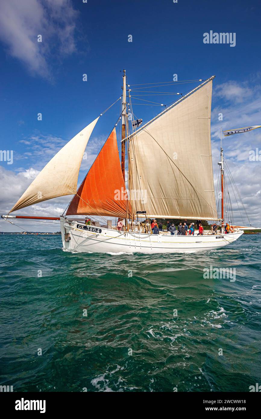 France, Morbihan, Gulf of Morbihan, Biche, Dundee, last tuna boat from ...