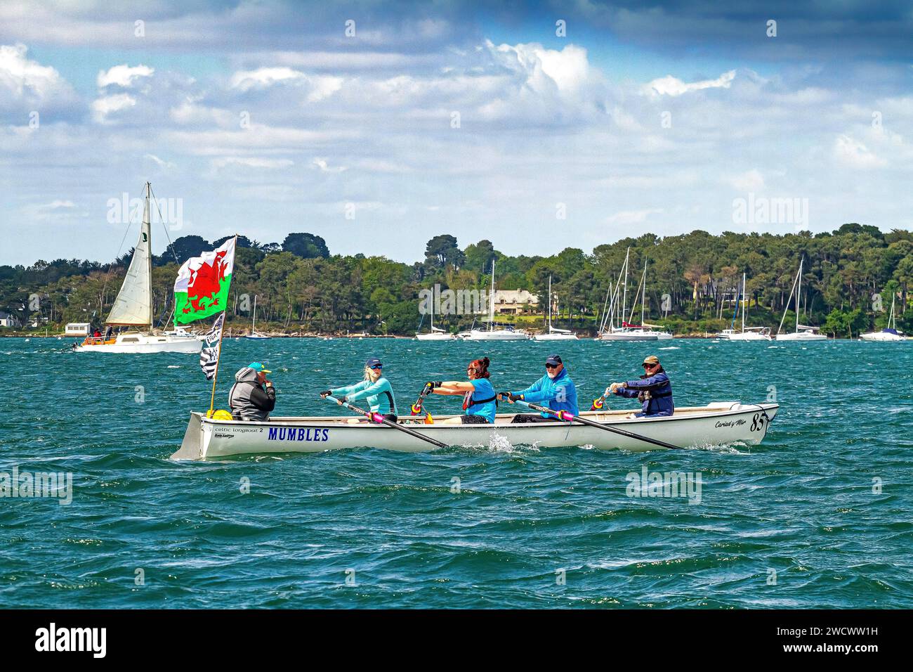 France, Morbihan, Gulf of Morbihan, Cariad y Môr, sea rowing, Celtic ...