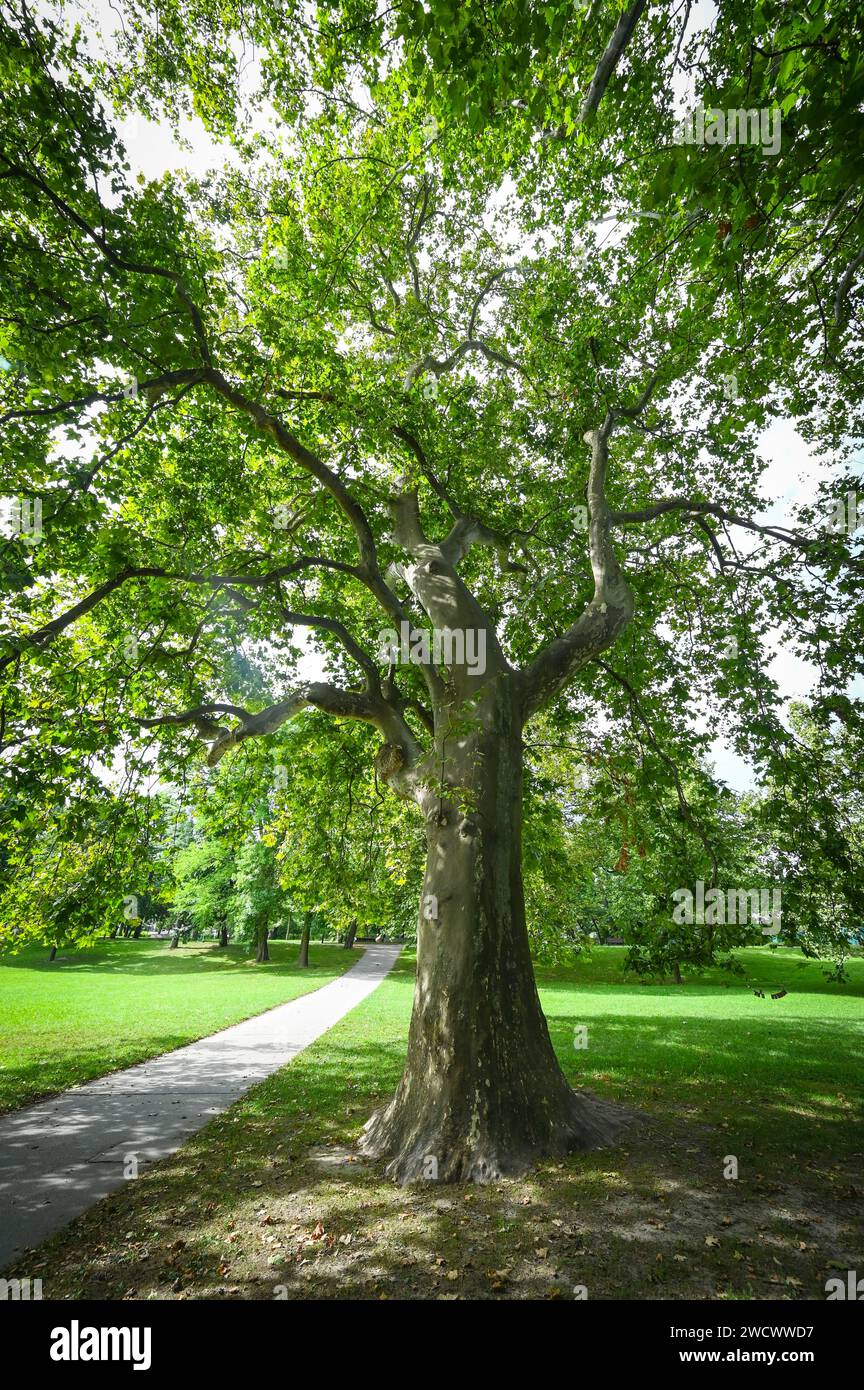 Krala hi-res stock photography and images - Alamy
