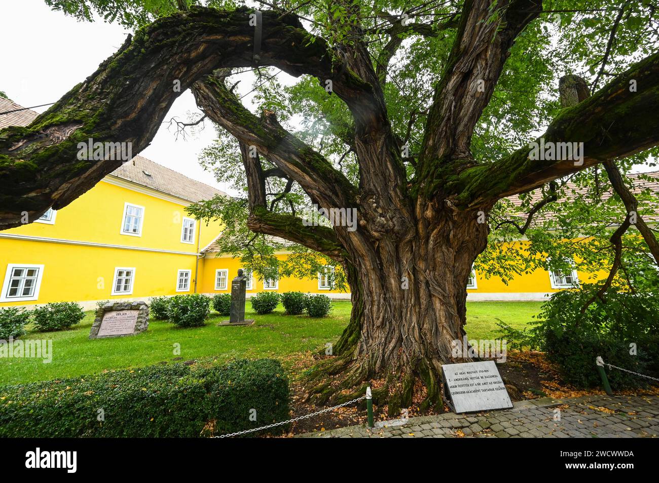 Hungary, Babolna, on the Euro bike 6 the famous stud farm which breeds ...