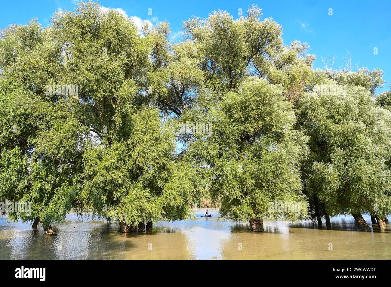 Hungary, Euro Velo 6,, the Danube overflows near Budapest Stock Photo ...