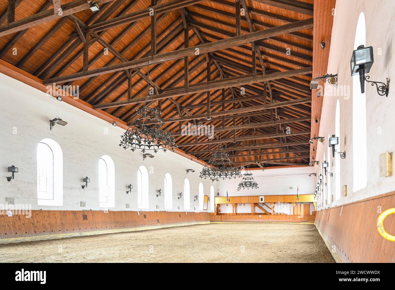 Hungary, Babolna, on the Euro 6 bike the famous stud farm which breeds ...
