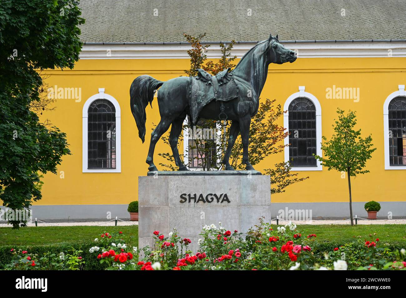 Hungary, Babolna, on the Euro bike 6 the famous stud farm which breeds ...