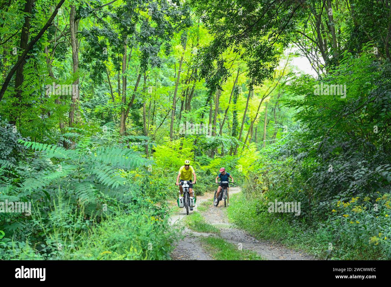 Velo track hi-res stock photography and images - Alamy