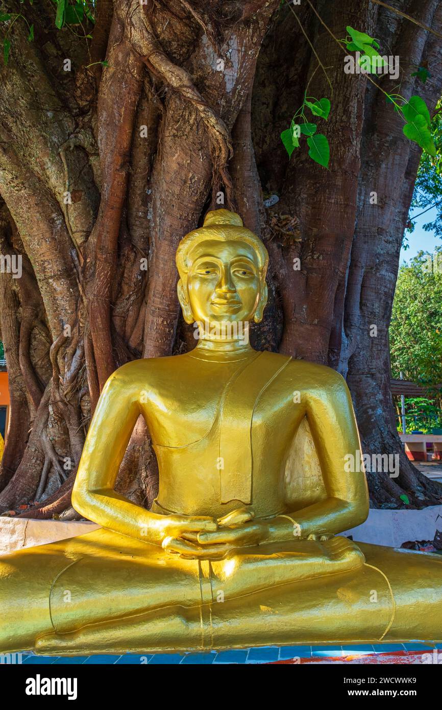 Thailand, Trat province, Ko Mak island, Ao Nid bay, Wat Samakeetham ...