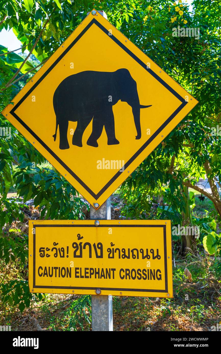 Elephant crossing sign hi-res stock photography and images - Alamy