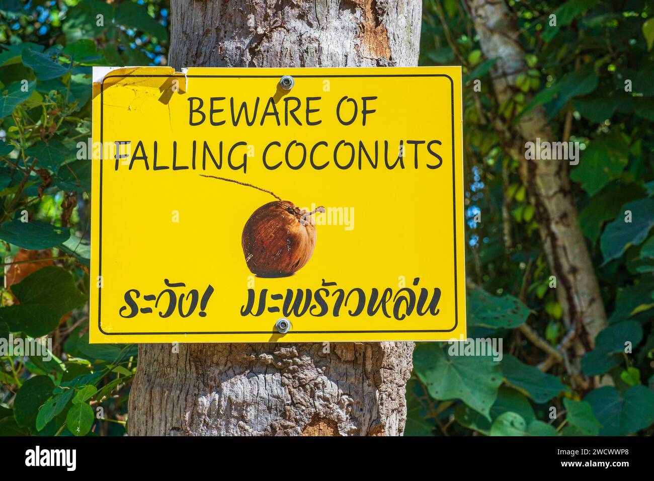 Thailand, Trat province, Ko Chang island, the banks of the Khlong Prao ...