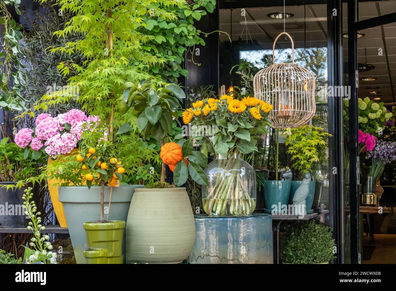 Display of vases with flowers, bouquets and potted plants in flower ...