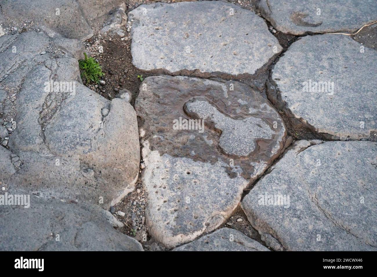 Italy, Campania, the Bay of Naples, Pompei, phallic symbol on a paving ...
