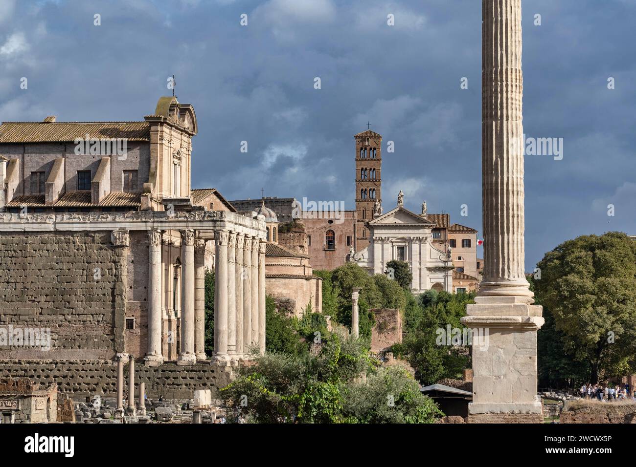 Italy, Latium, Rome, Roman Forum, Temple of Antoninus and Faustina ...