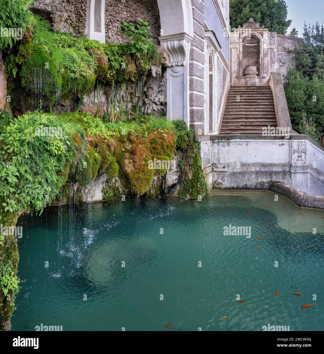 Italy, Latium, Rome, Roman Forum, great fountain on the Palatine Hill ...