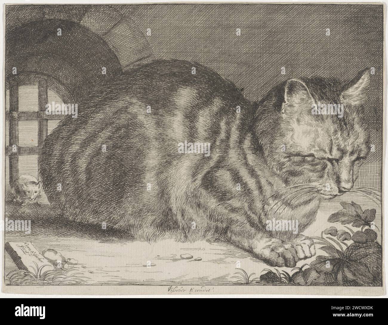 The Large Cat, anonymous, after Cornelis Visscher (II), 1679 - 1702 ...