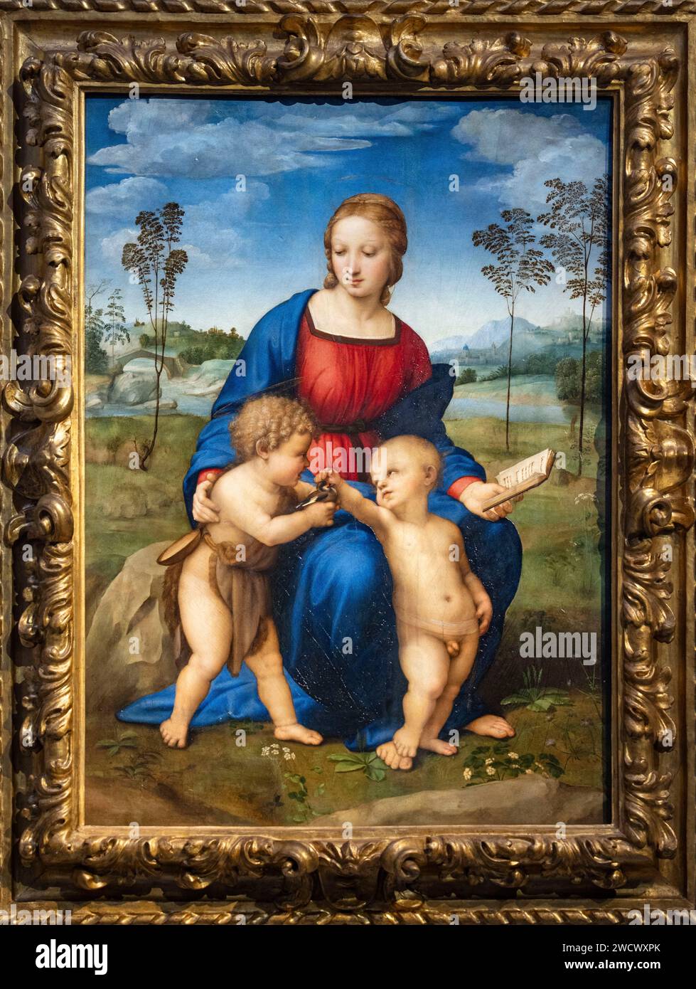 Italy, Toscane, Florence, Galleria degli Uffizi, The Madonna del ...