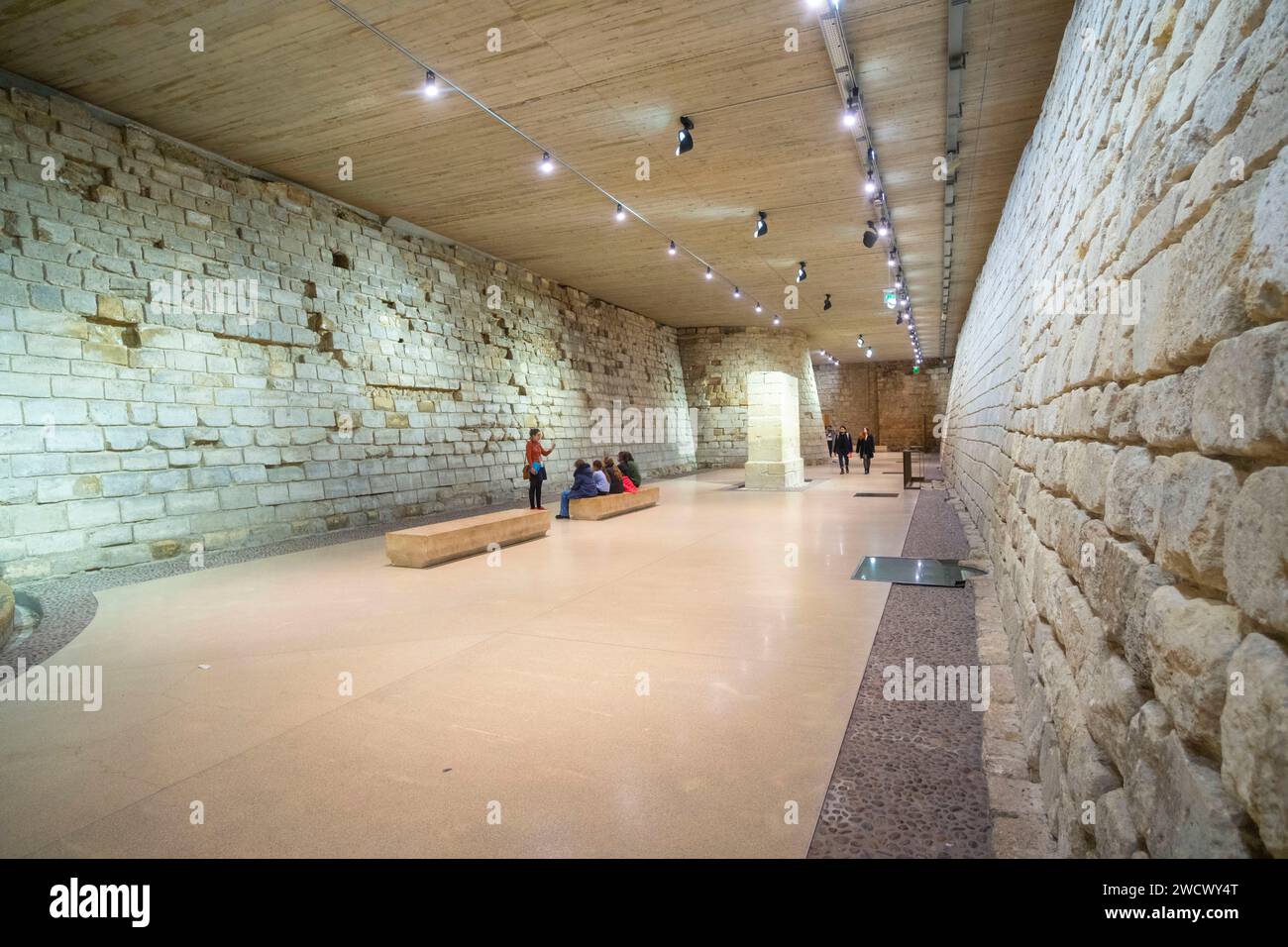 France, Paris, area listed as World Heritage by UNESCO, the Louvre ...