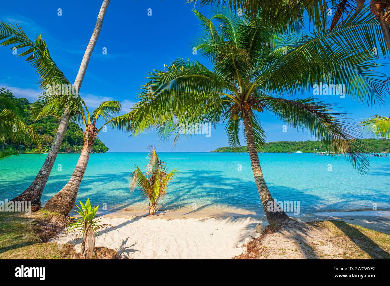 Thailand, Trat province, Ko Kood (or Ko Kut) island, Bang Bao Beach ...