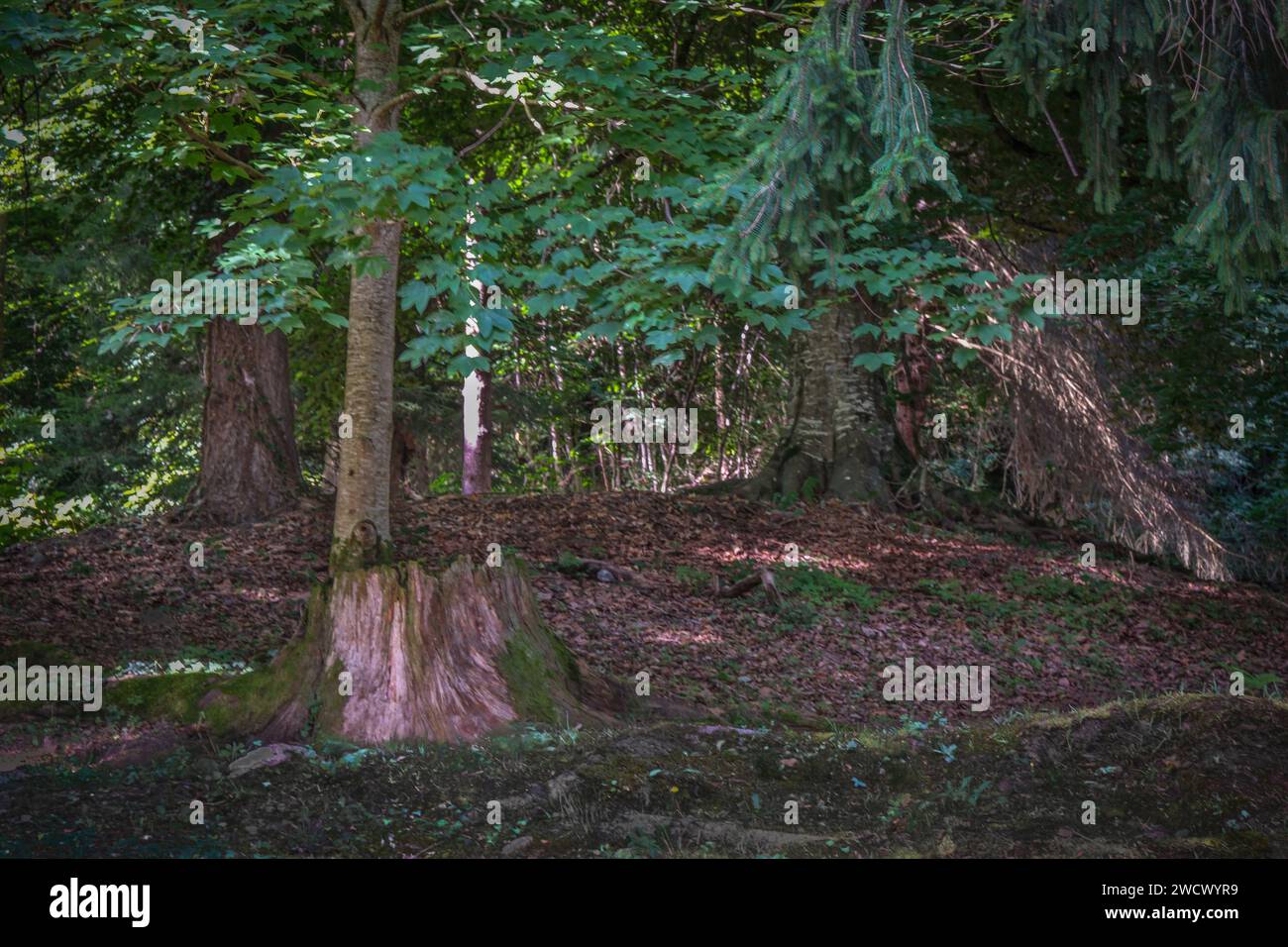 Bagneres de Luchon, France Stock Photo - Alamy