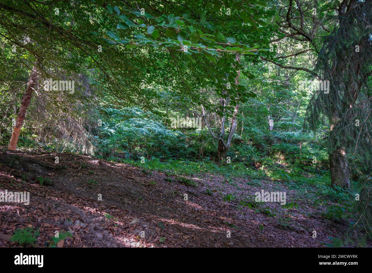 Bagneres de luchon france hi-res stock photography and images - Alamy