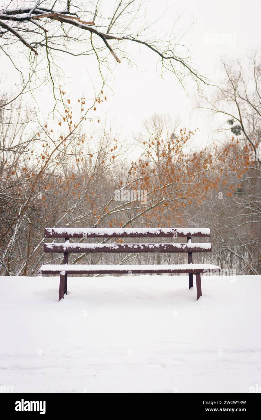 Bench covered with snow in frozen forest. Empty bench in snowy park ...