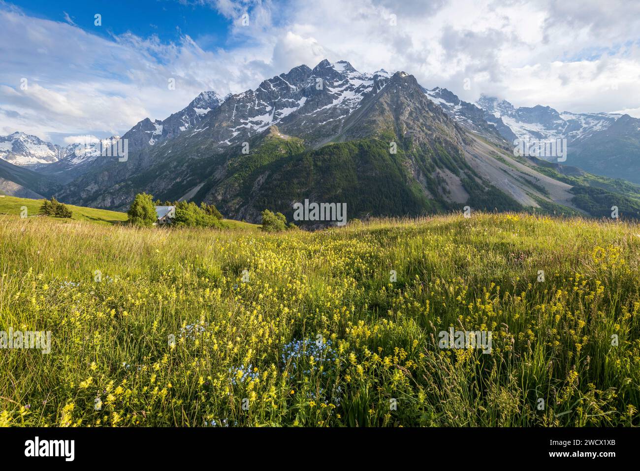 France, Hautes-Alpes), Villar-d'Arêne, high valley of the Romanche, the ...