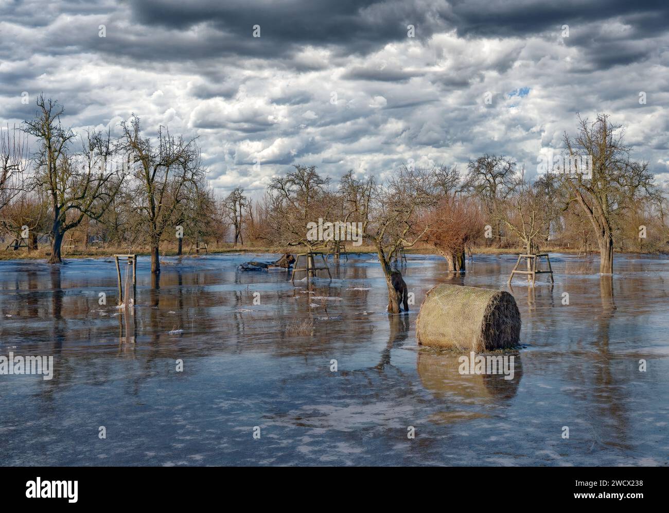 icy Flood at Rhine River Floodplain,Urdenbacher Kaempe Nature Reserve ...
