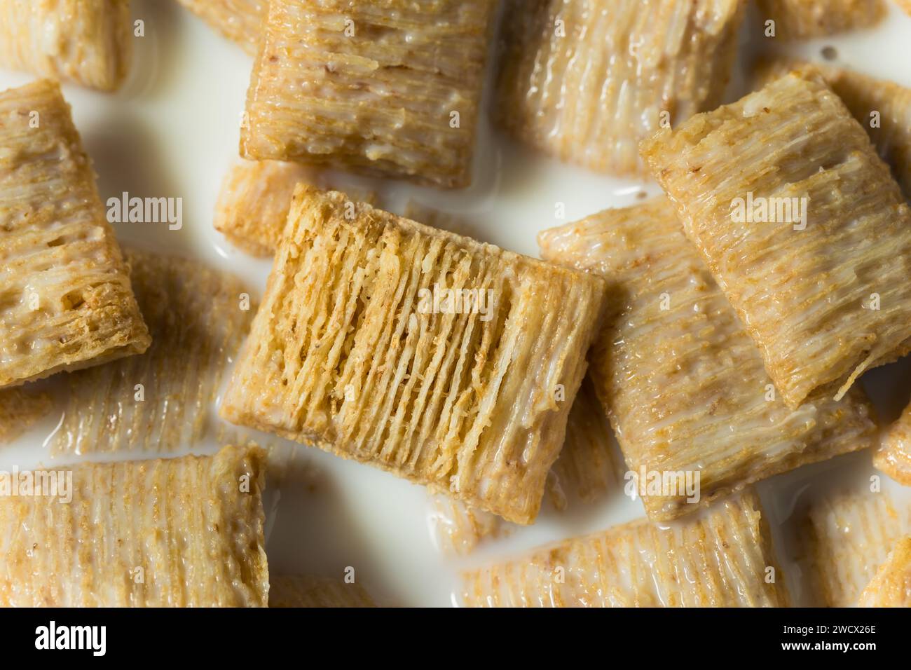 Healthy Wheat Squares Breakfast Cereal with Whole Milk Stock Photo - Alamy